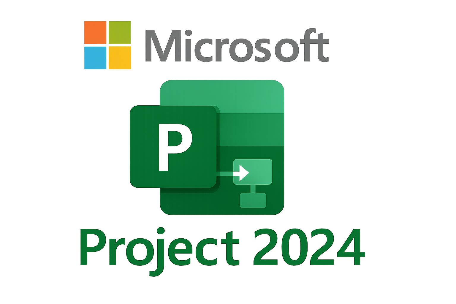 Microsoft Project 2024 Professionnel – Estarta Computer